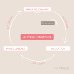 Tout savoir sur les règles et les cycles menstruels - Claripharm