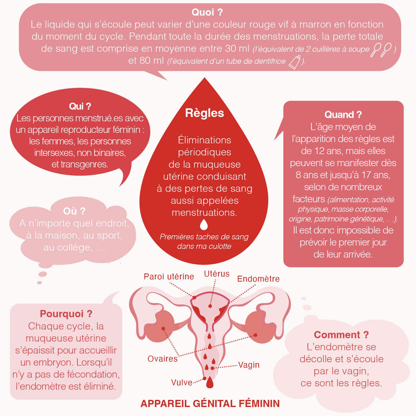 Le cycle menstruel - Claripharm